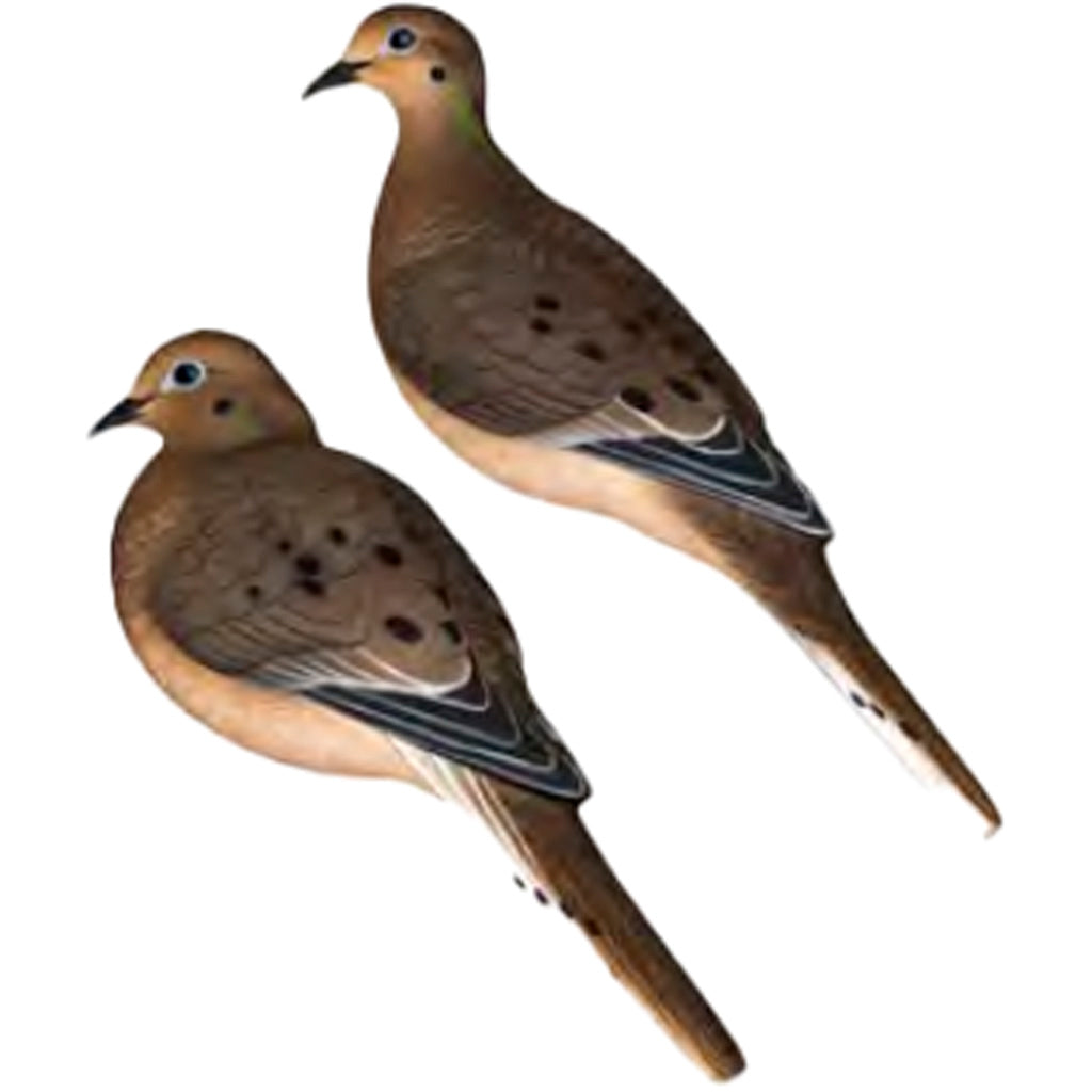 Avianx Axp Full Body Dove Decoys 6 Pk. – Archery Warehouse