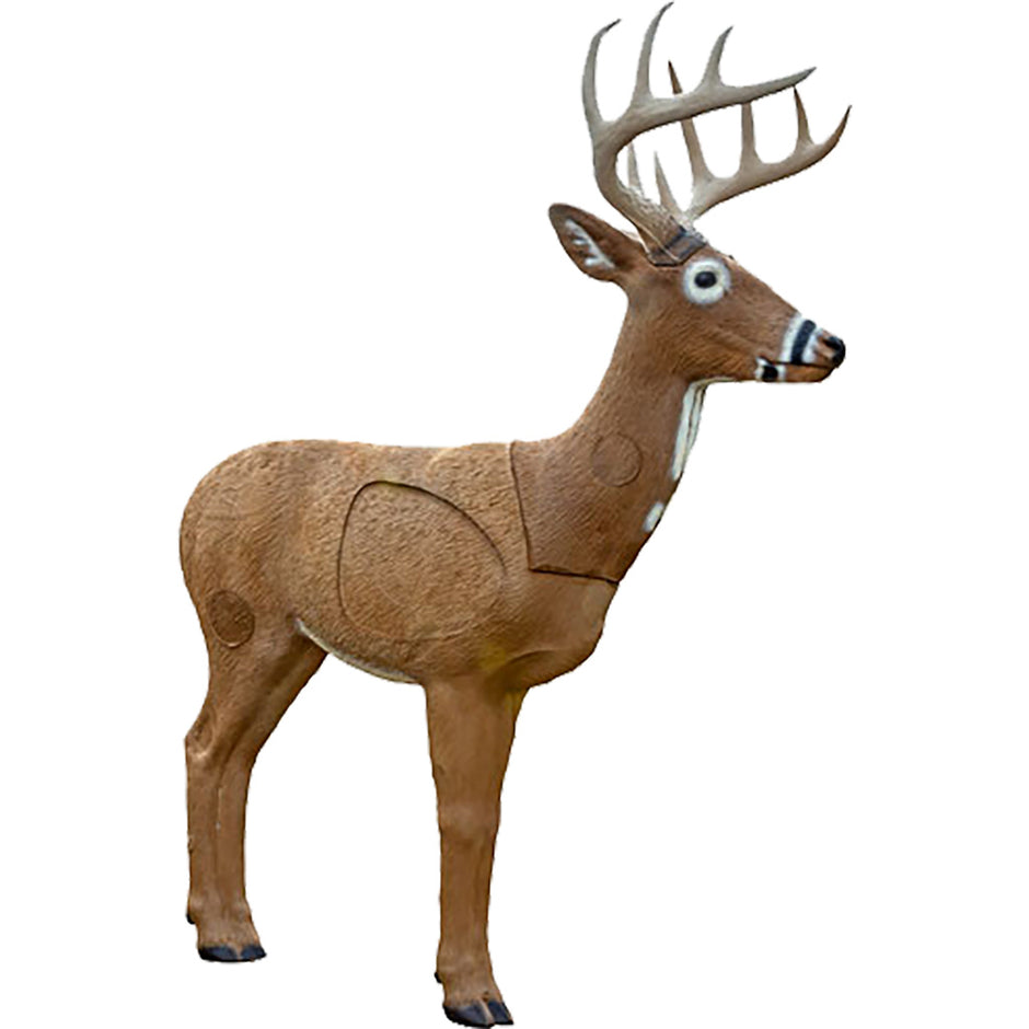 Rinehart Targets - Archery Warehouse