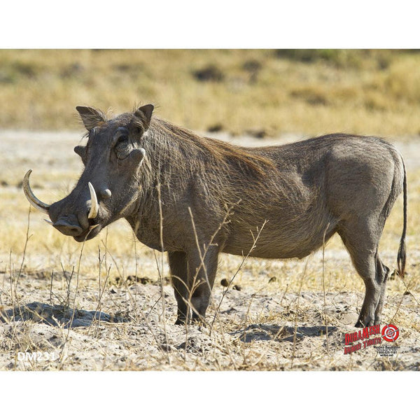 Duramesh Archery Target Warthog 25 In. X 32 In. – Archery Warehouse