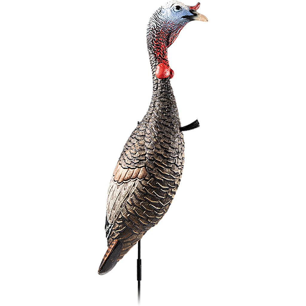 Flextone Funky Chicken Gen 2 Turkey Decoy – Archery Warehouse