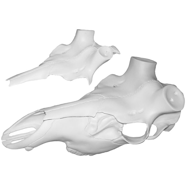 Mountain Mikes Elk Skull Master Universal Kit – Archery Warehouse